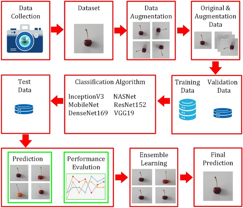 Using Artificial Intelligence To Classify Cherries